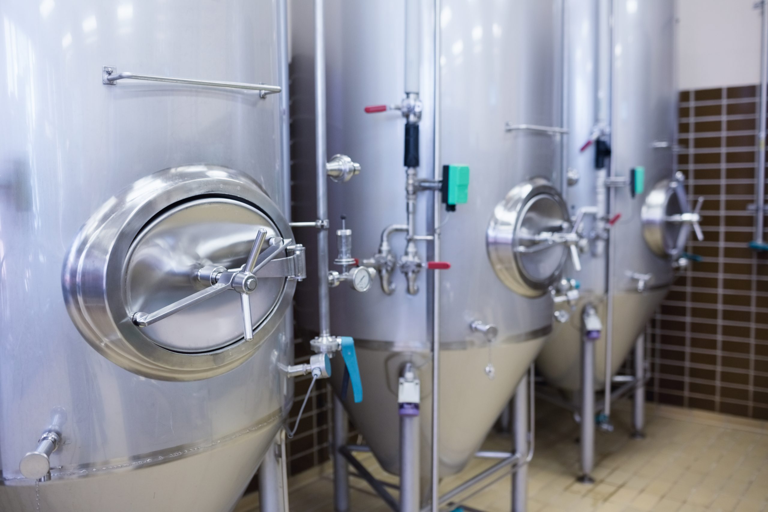 Ingredient Recovery from Milk, Whey and their Co-Products - Dairy ...